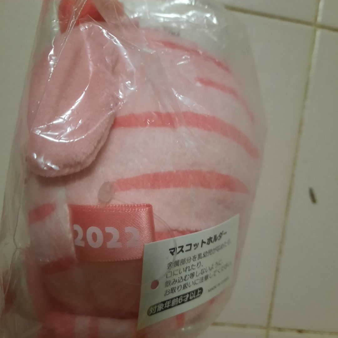 Official Rare Sanrio 2022 Year of Tiger Series - My Melody Plushie in ...
