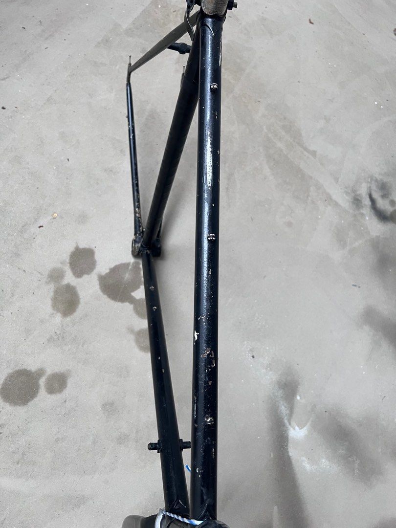 vintage tecnotrat frameset, Sports Equipment, Bicycles & Parts ...