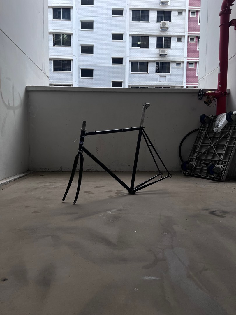 vintage tecnotrat frameset, Sports Equipment, Bicycles & Parts ...