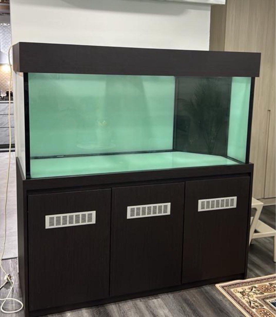 5ft by 2ft by 2.5ft Fish tank plus cabinet and sump, Pet Supplies ...