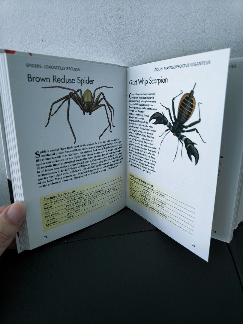 Bugs Encyclopedia, Hobbies & Toys, Books & Magazines, Children's Books ...