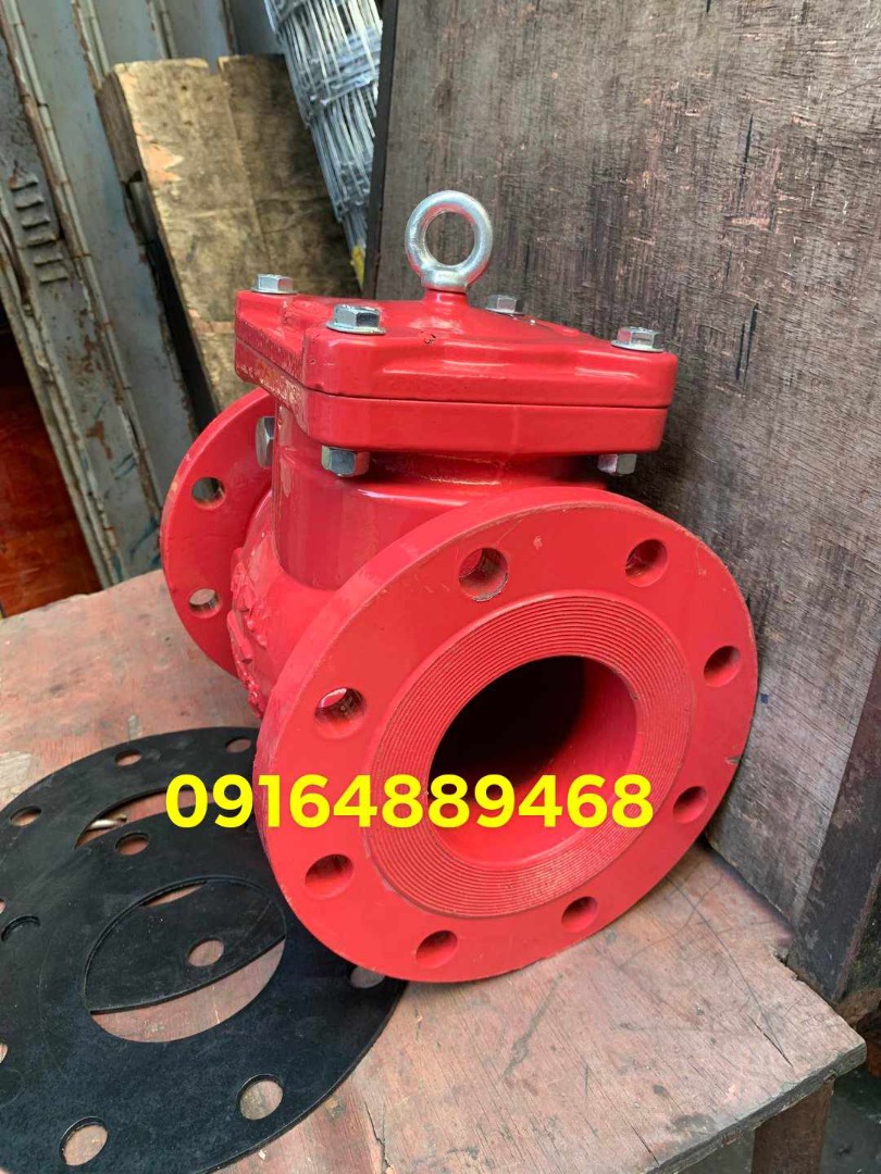 Check Valve Firepro, Commercial & Industrial, Construction Tools ...