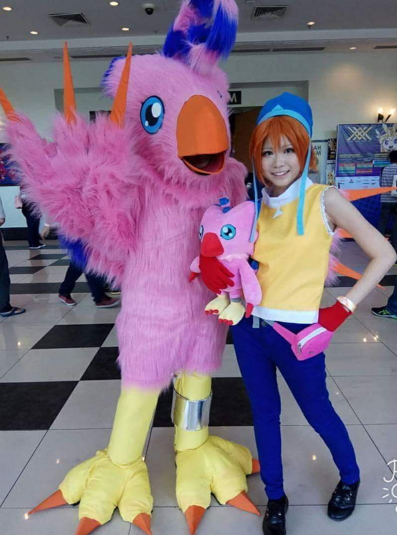 Sora From Digimon Costume New Digimon Adventure Tri Mimi Tachikawa