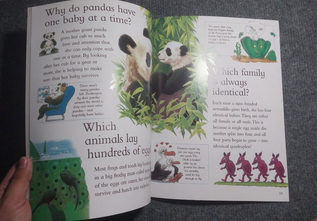 I WONDER WHY KANGAROOS HAVE POUCHES: And Other Questions About Baby ...