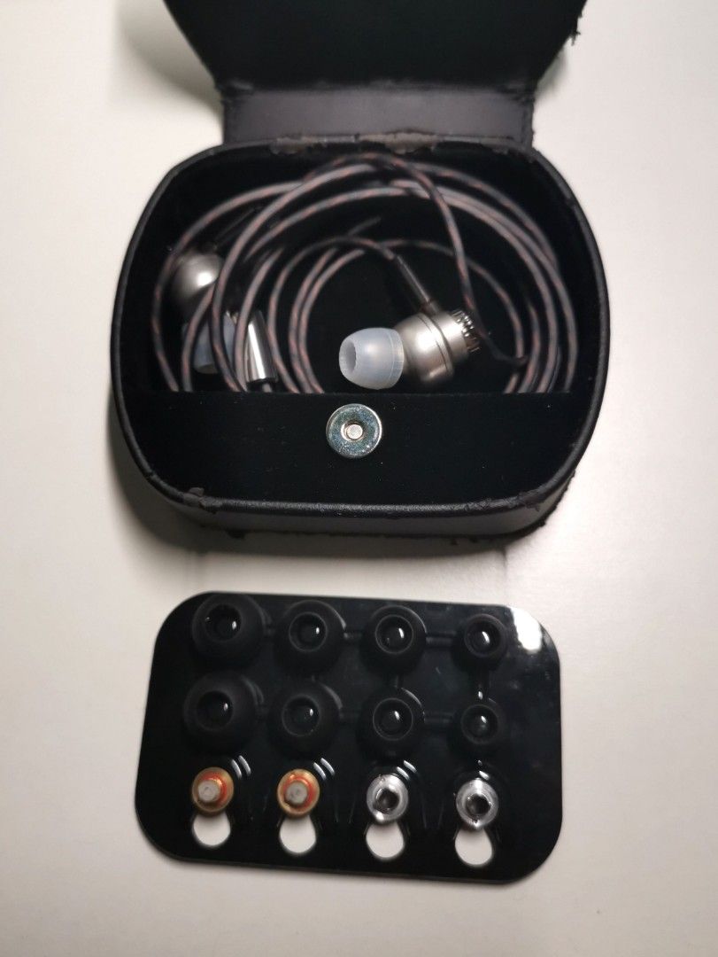 JVC HA-FD01 (Modded), Audio, Earphones on Carousell