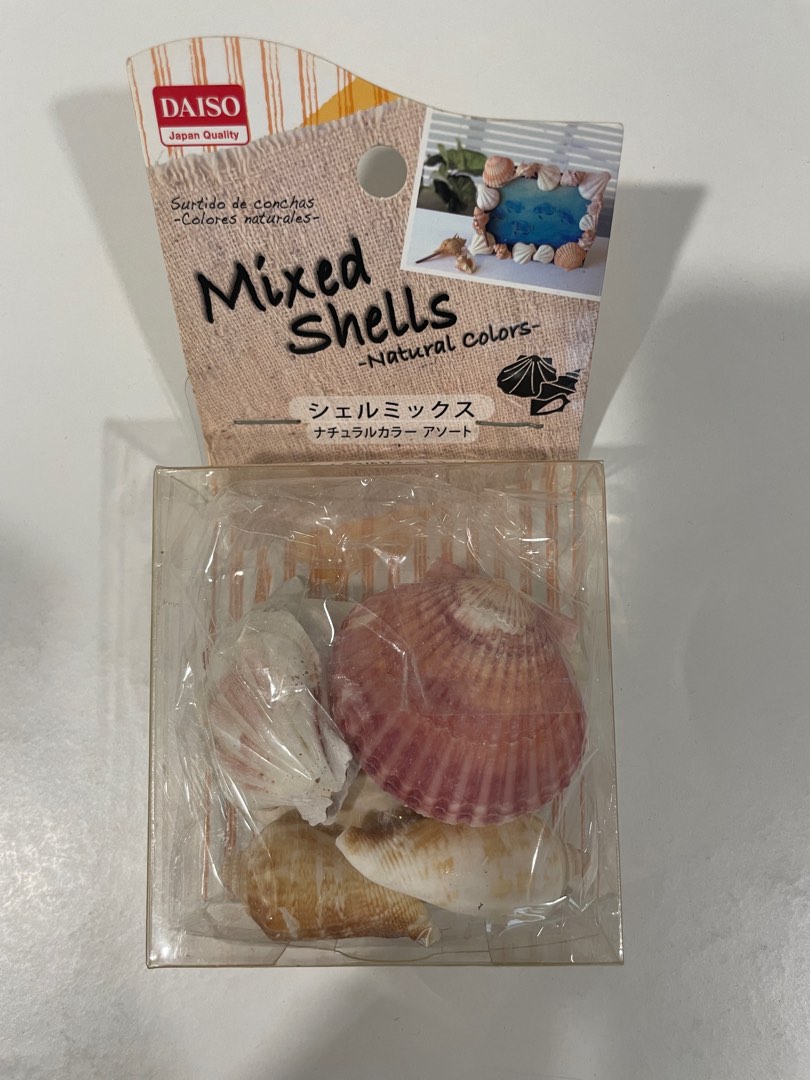 Mixed Shells (Daiso), Hobbies & Toys, Stationery & Craft, Other ...