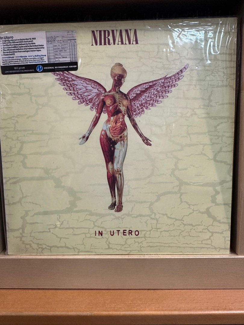 Nirvana In Utero Vinyl Lp Record Hobbies And Toys Music And Media Vinyls On Carousell