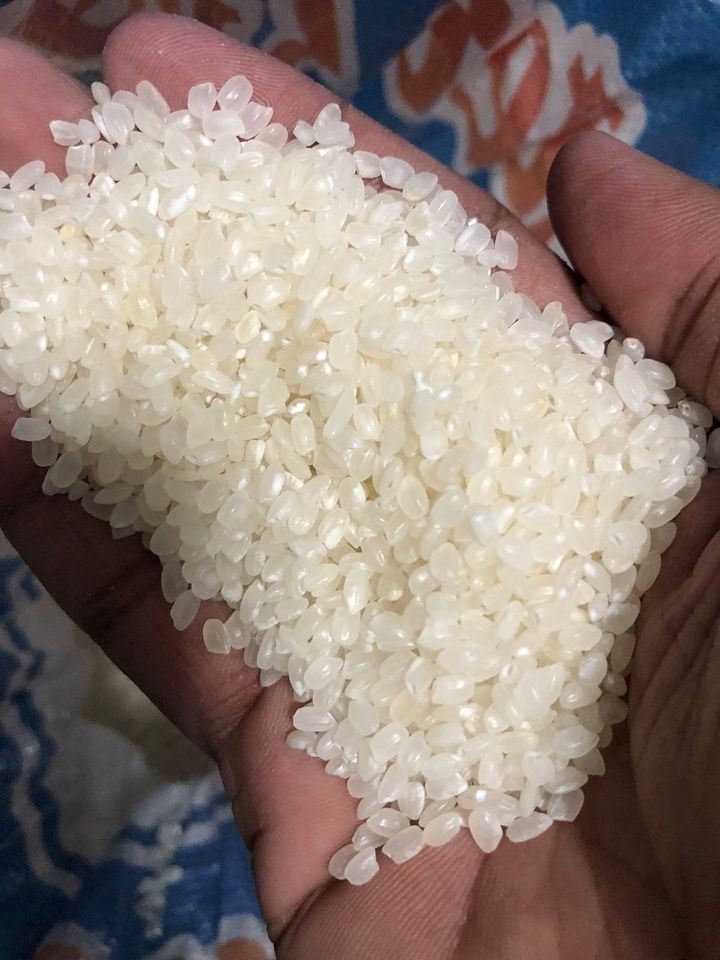 rush rice / bigas, Food & Drinks, Other Food & Drinks on Carousell