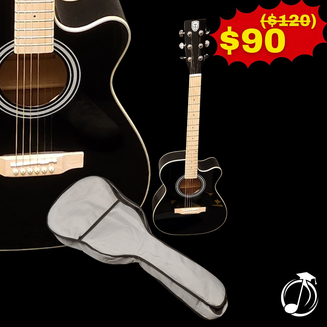 Techno D40 Acoustic Guitar, Hobbies & Toys, Music & Media, Musical ...