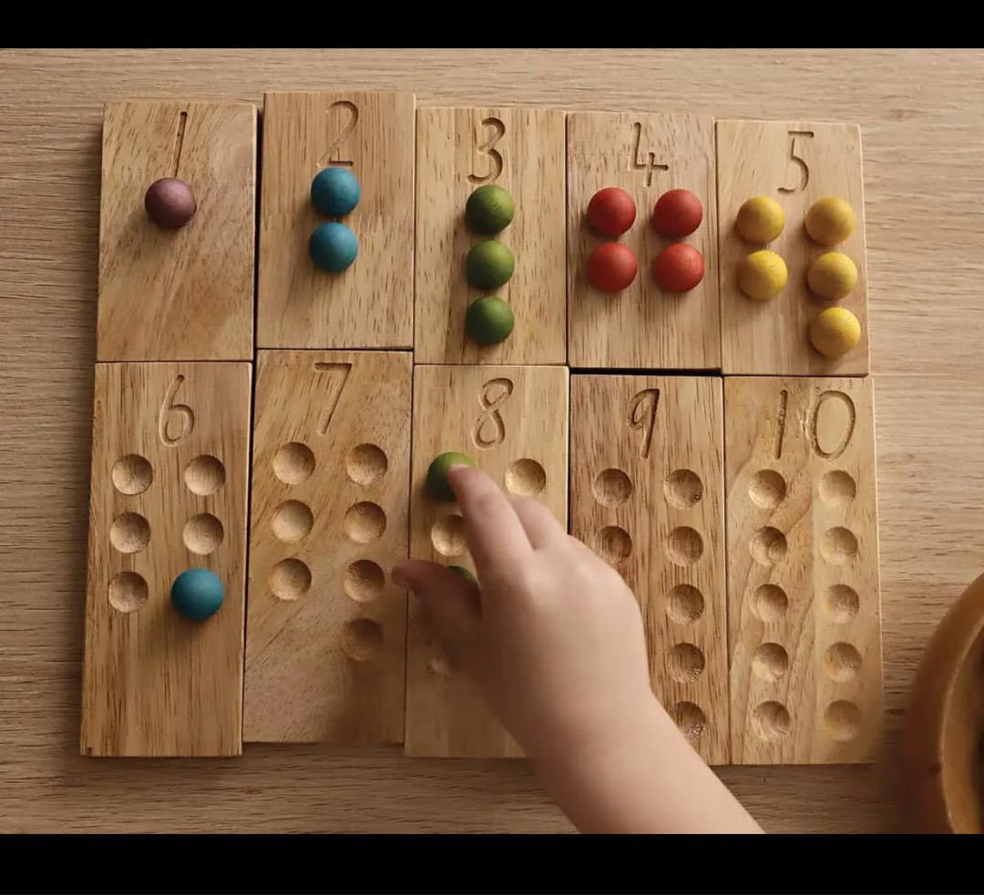 A Greener Wood math counting set, Hobbies & Toys, Toys & Games on Carousell