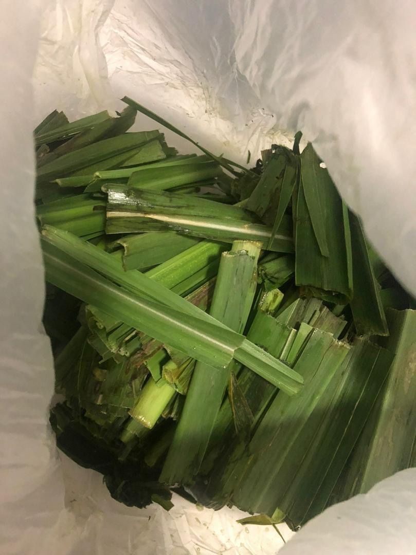 Daun Napier Potong + Stem 1KG/ guinea pig food, Pet Supplies, Pet Food ...