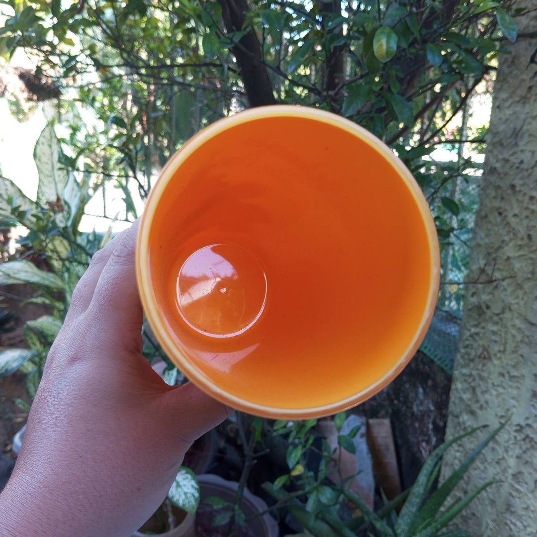 DISNEY Winnie the Pooh Ta Glass, Furniture & Home Living, Kitchenware ...