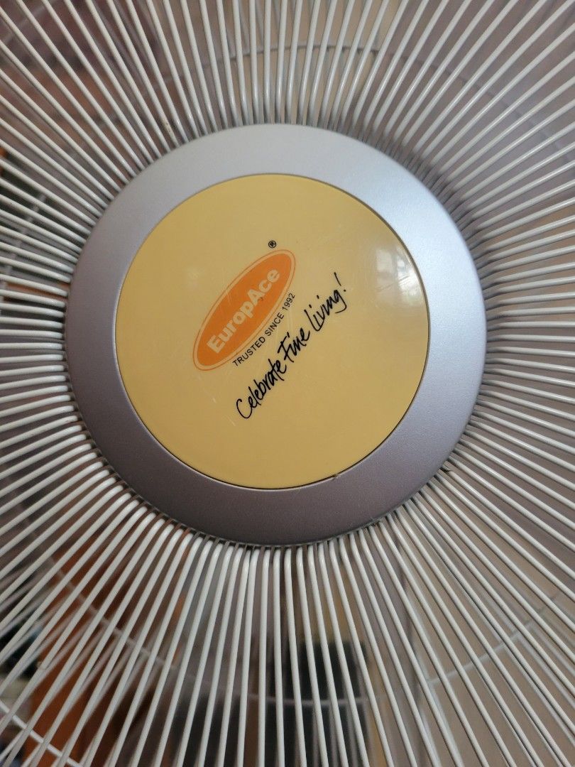 Europace Standing Fan, Furniture & Home Living, Lighting & Fans, Fans ...