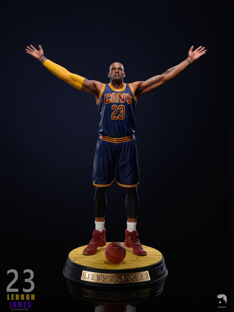 Face Funky Studio - LeBron James, Hobbies & Toys, Toys & Games on Carousell
