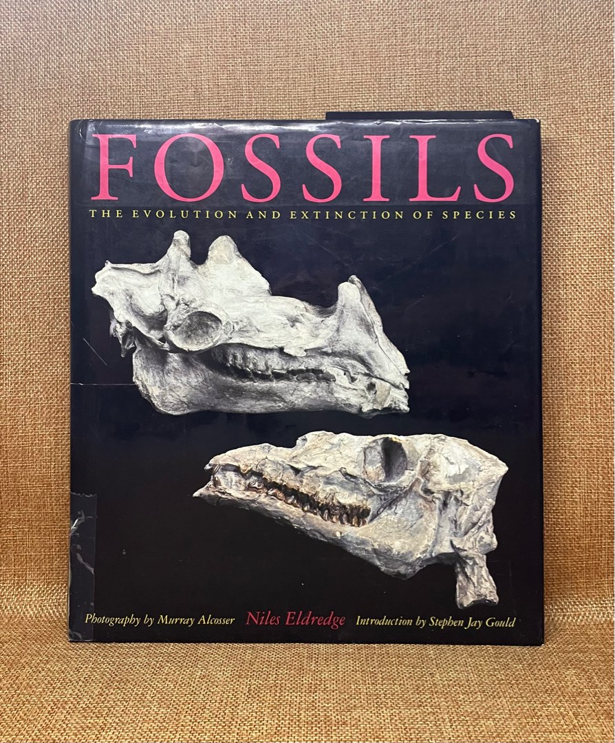 Fossils The Evution and Extinction of Species, Hobbies & Toys, Books ...