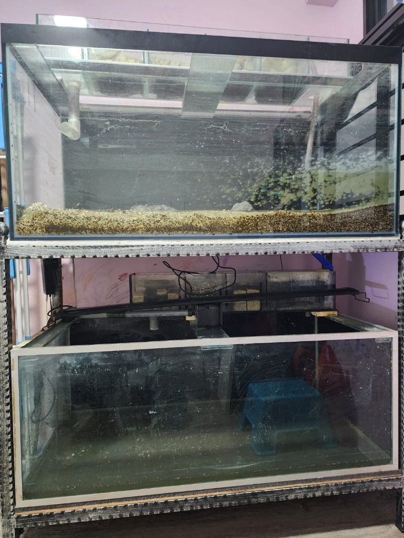 Free fish tank, Everything Else on Carousell
