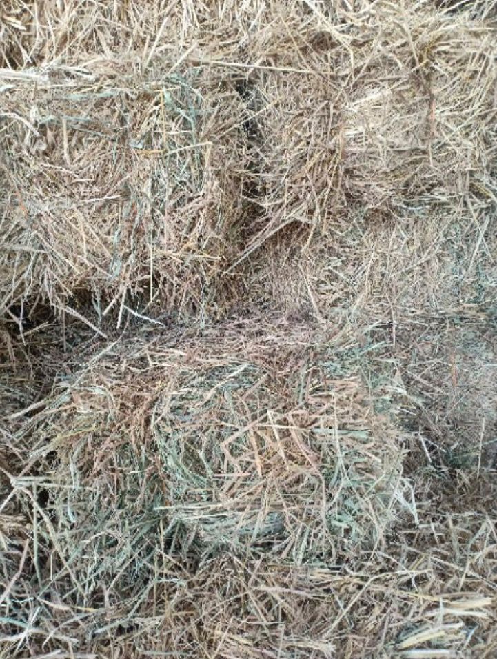 Jerami / Jerami Padi / Paddy Hay / Paddy Straw, Furniture & Home Living ...