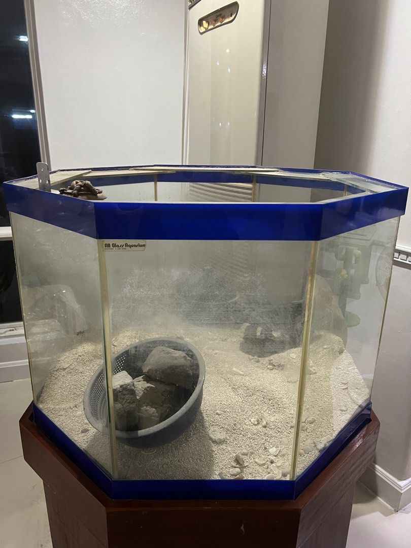 Octagon Fish Tank - Custom Aquarium, Pet Supplies, Homes & Other Pet ...