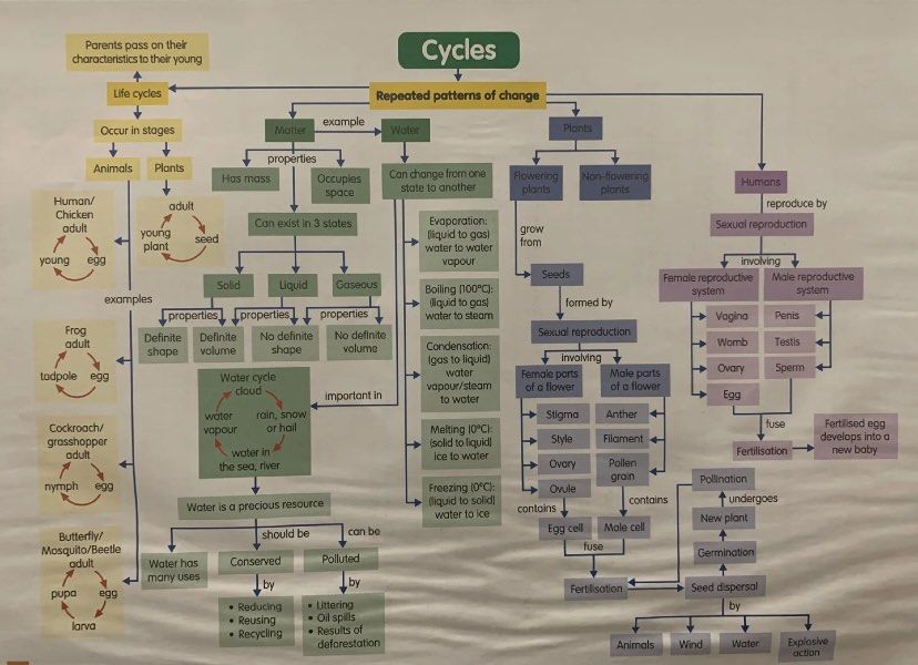 P3/P4/P5/P6/PSLE Science Concept Maps, Hobbies & Toys, Books ...