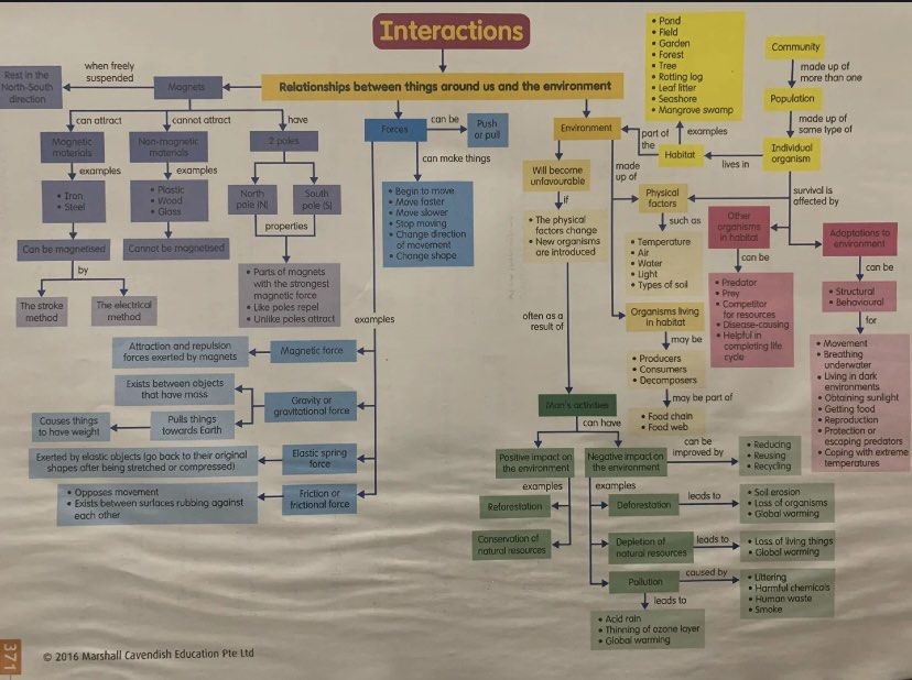 P3/P4/P5/P6/PSLE Science Concept Maps, Hobbies & Toys, Books ...