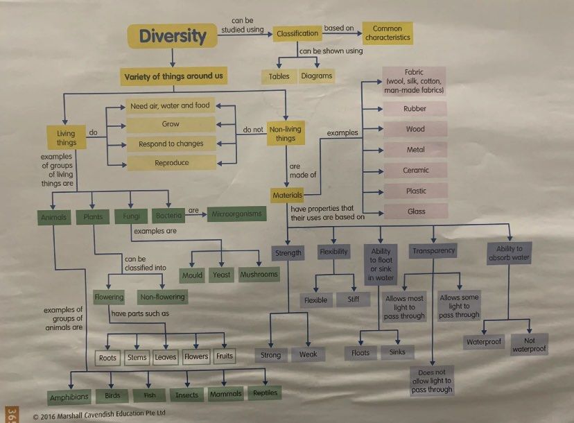 P3/P4/P5/P6/PSLE Science Concept Maps, Hobbies & Toys, Books ...