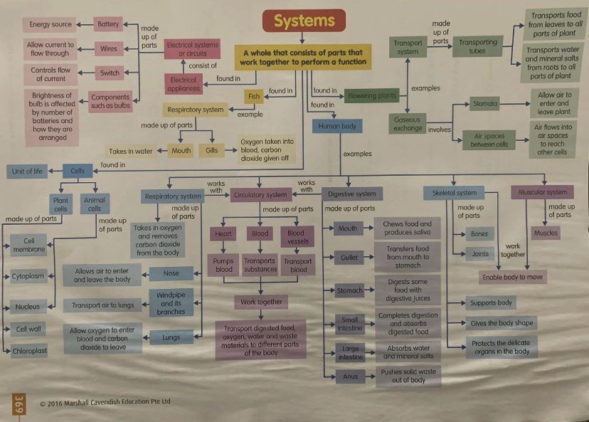 P3/P4/P5/P6/PSLE Science Concept Maps, Hobbies & Toys, Books ...