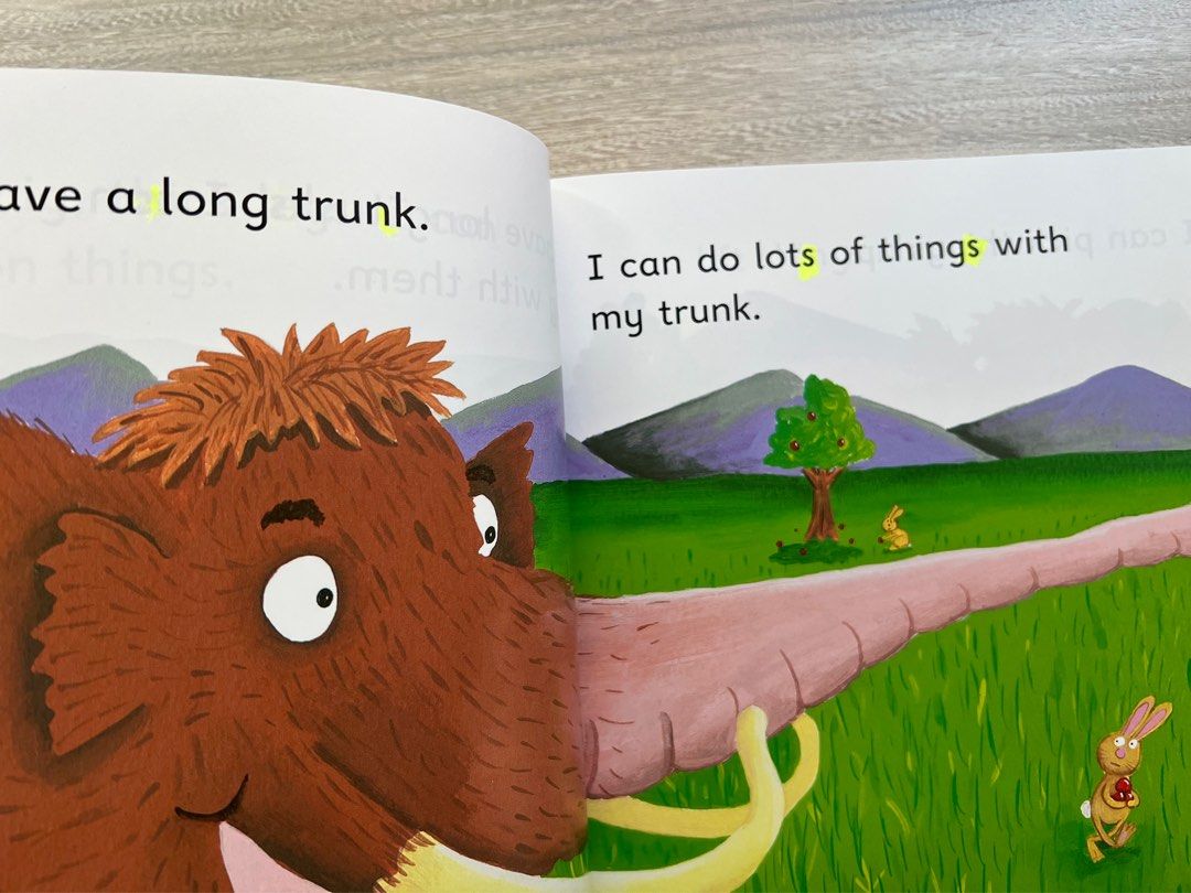 phonics story book, Julia Donaldson's Songbirds, 興趣及遊戲, 書本 & 文具, 小說 ...