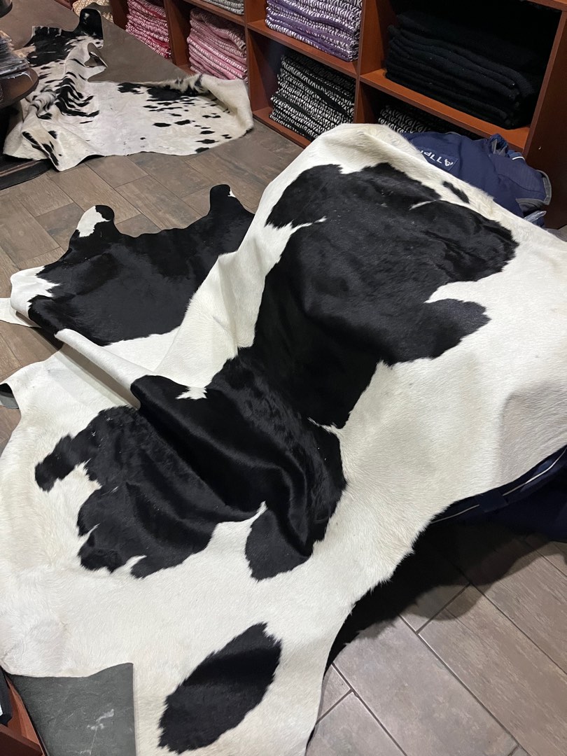 Real Cow hide rug from argentina, Furniture & Home Living, Home Decor ...