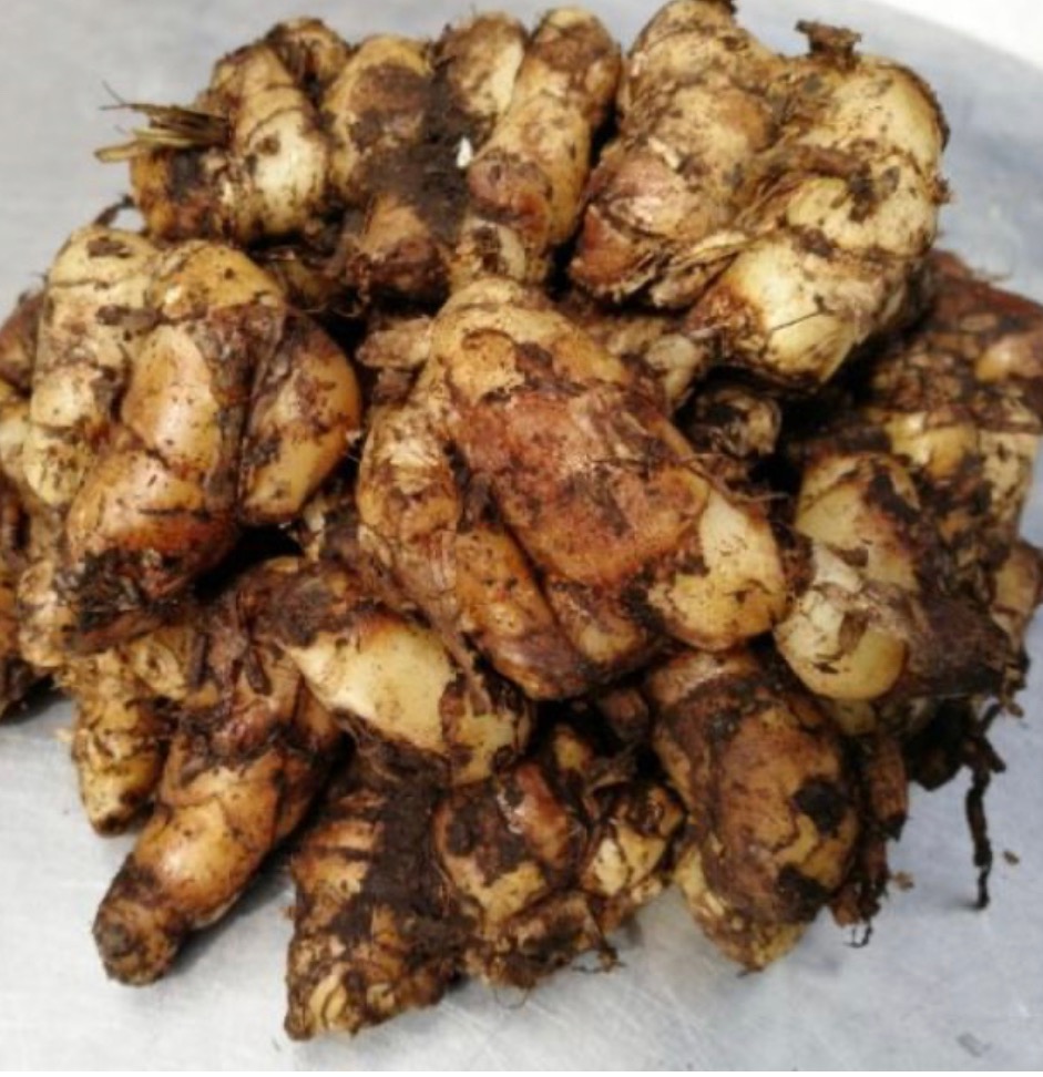 RIZOM CEKUR UTK ANAK BENIH POKOK DAN UBATAN TRADISIONAL, Food & Drinks ...