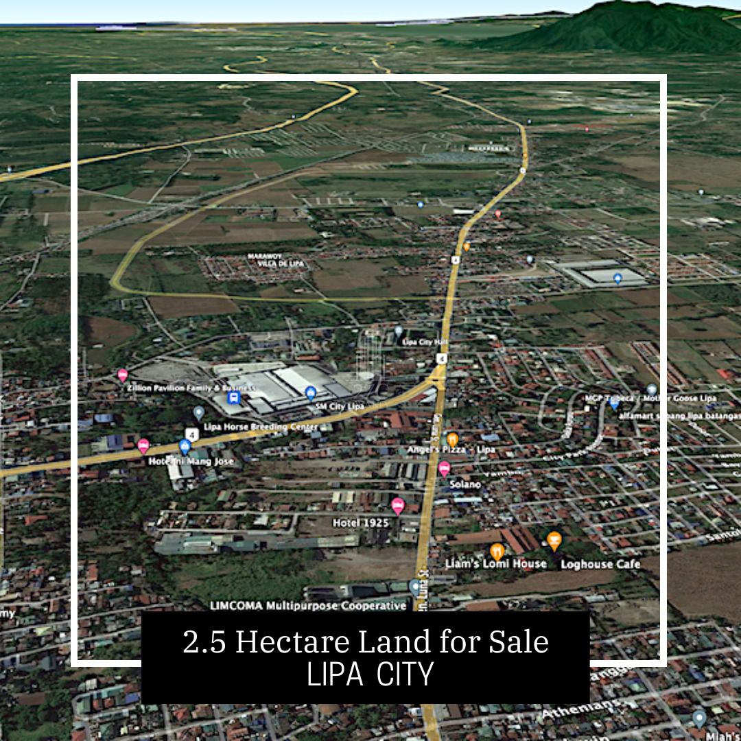 2.5 Hectare Land for Sale near SM City Lipa, Batangas, Property, For ...