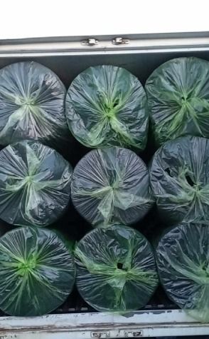 BUBBLE WRAP BLACK - PANG NEGOSYO DEALS, Everything Else, Others on ...