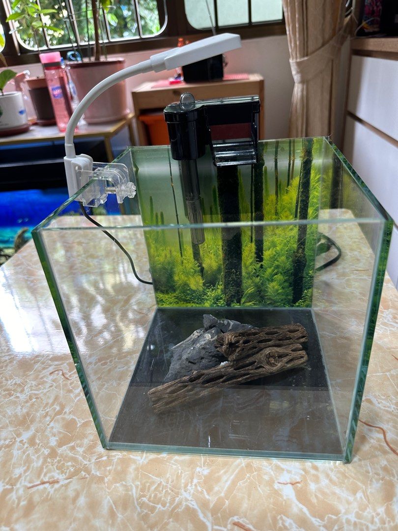 Crystal Clear Glass Fish Tank , Pet Supplies, Homes & Other Pet ...