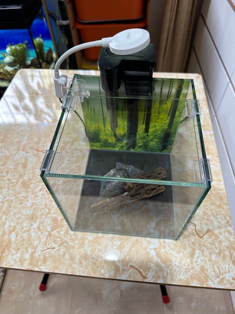Crystal Clear Glass Fish Tank , Pet Supplies, Homes & Other Pet ...