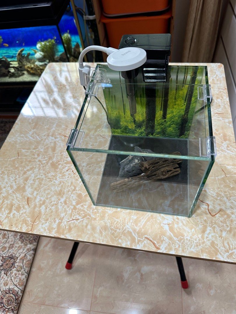Crystal Clear Glass Fish Tank , Pet Supplies, Homes & Other Pet ...