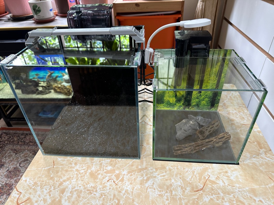 Crystal Clear Glass Fish Tank , Pet Supplies, Homes & Other Pet ...