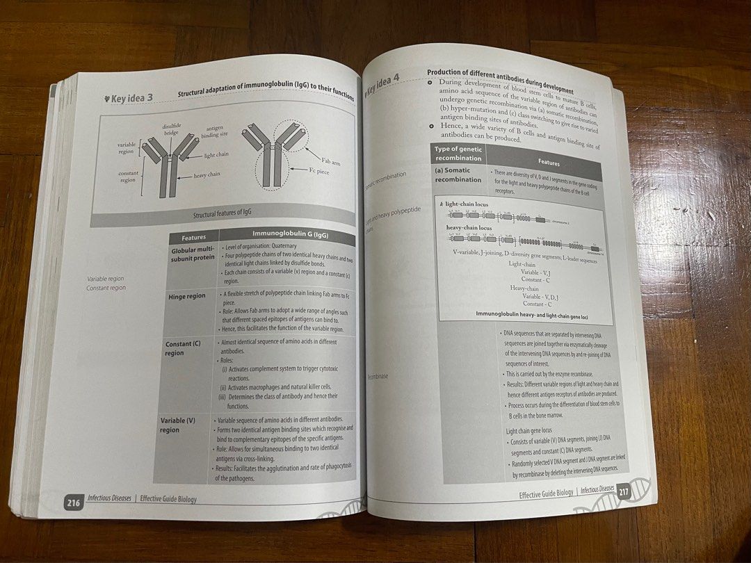 Effective guide for H2 Biology, Hobbies & Toys, Books & Magazines ...