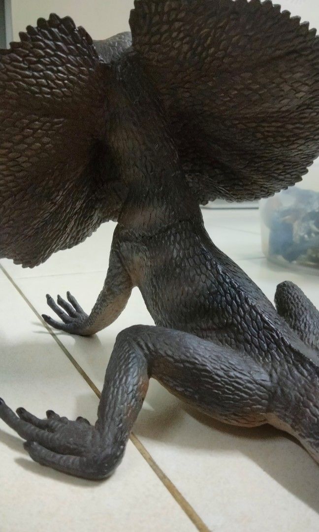 Frilled Neck Lizard Rubber Figure, Hobbies & Toys, Toys & Games on ...