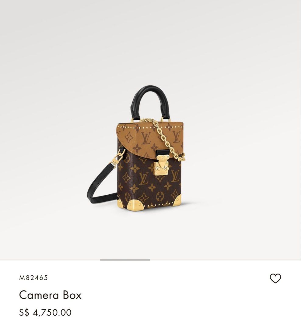 Louis Vuitton LV Camera Box , Luxury, Bags & Wallets on Carousell