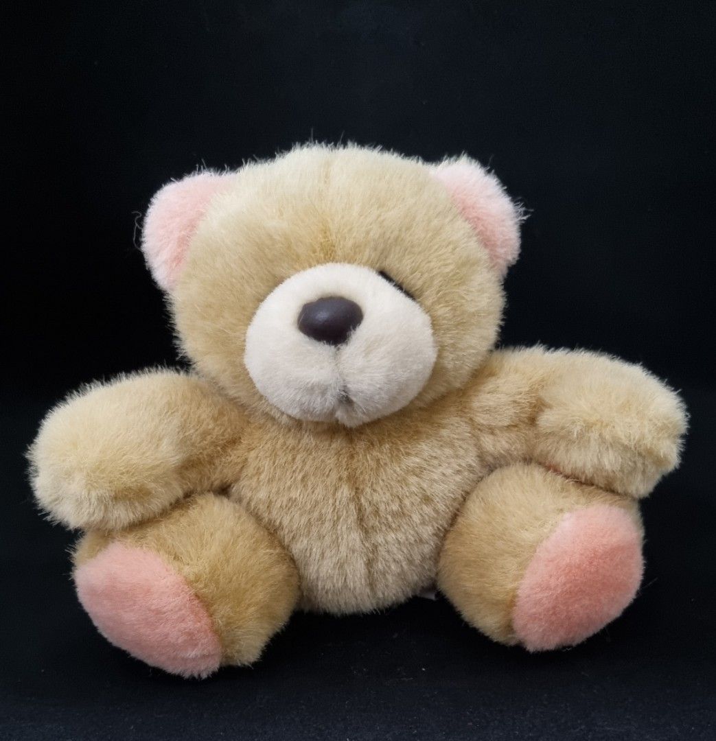 Pair of Forever Friends Bear Plushies, Hobbies & Toys, Toys & Games on ...
