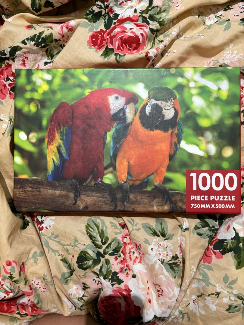 (SEE PICTURES) 1000 piece jigsaw puzzles, Hobbies & Toys, Toys & Games ...