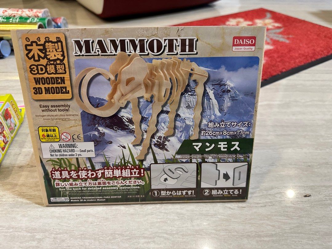 Wooden 3D model (daiso), Hobbies & Toys, Toys & Games on Carousell