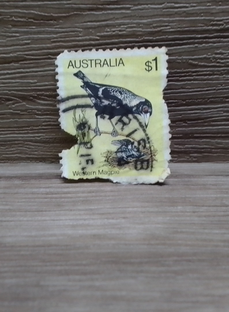1979 - 1S AU WESTERN MAGPIE STAMP #719, Hobbies & Toys, Memorabilia ...