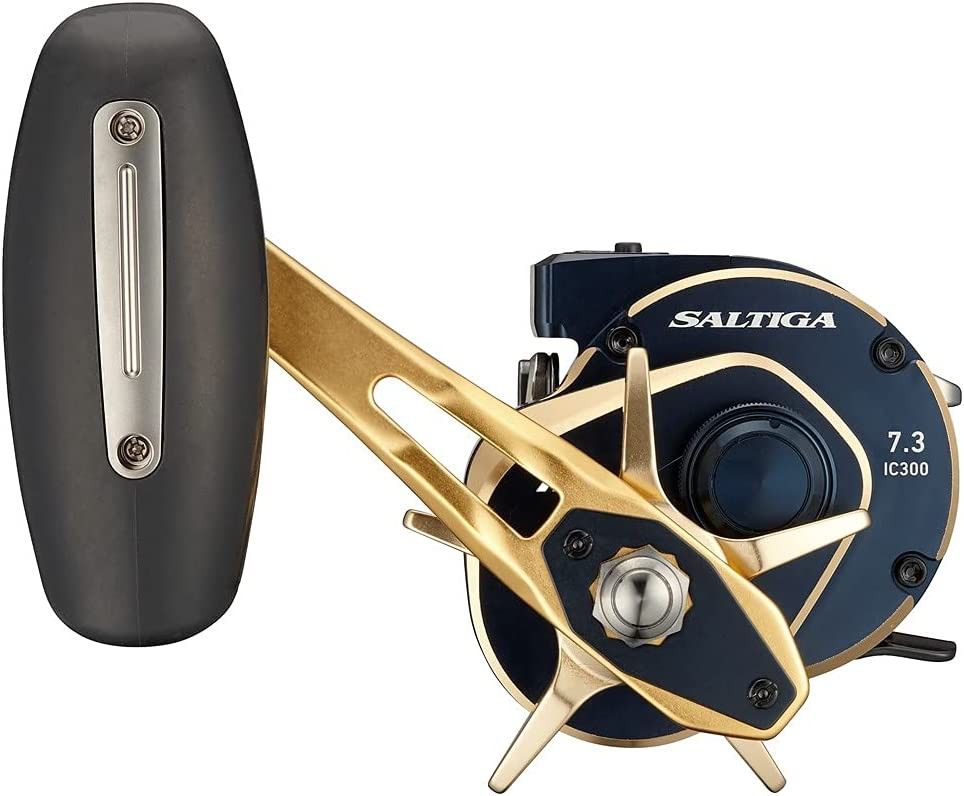 Daiwa 21 saltiga IC 300HL-SJ, Sports Equipment, Fishing on Carousell