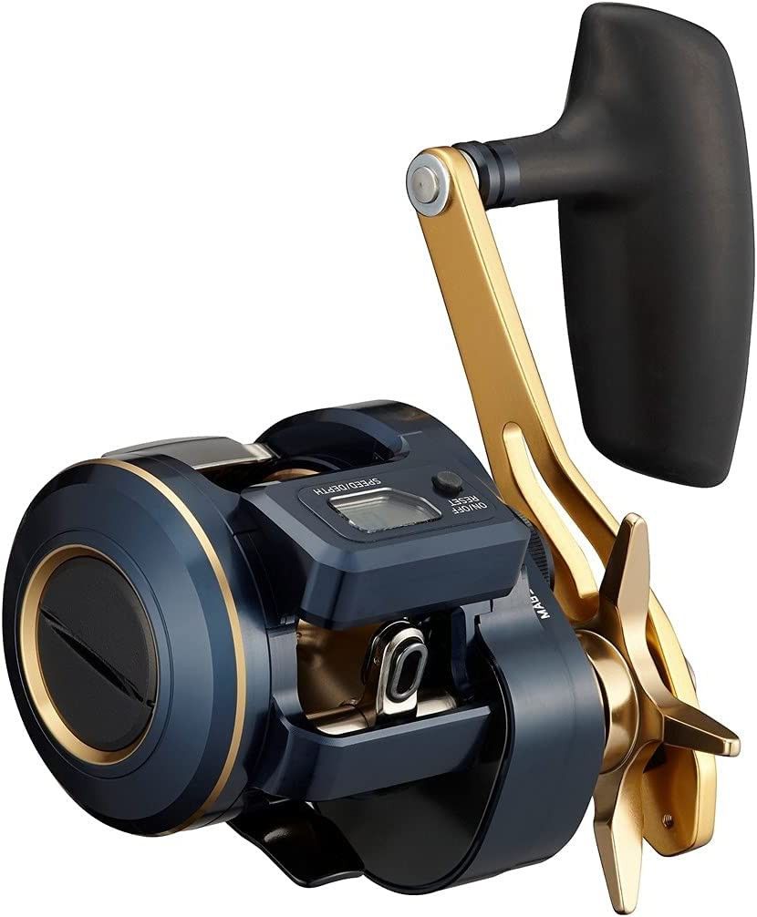 Daiwa 21 saltiga IC 300HL-SJ, Sports Equipment, Fishing on Carousell