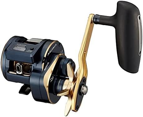 Daiwa 21 saltiga IC 300HL-SJ, Sports Equipment, Fishing on Carousell