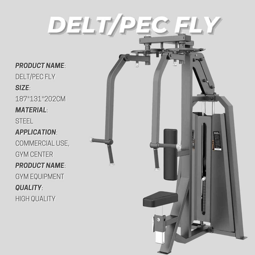 delt pec fly gym equipment, Sports Equipment, Other Sports Equipment ...