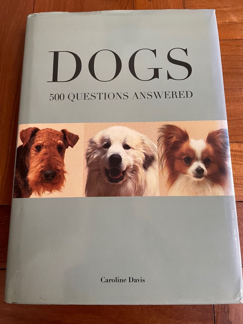 DOGS 500 questions answered, Hobbies & Toys, Books & Magazines, Fiction ...