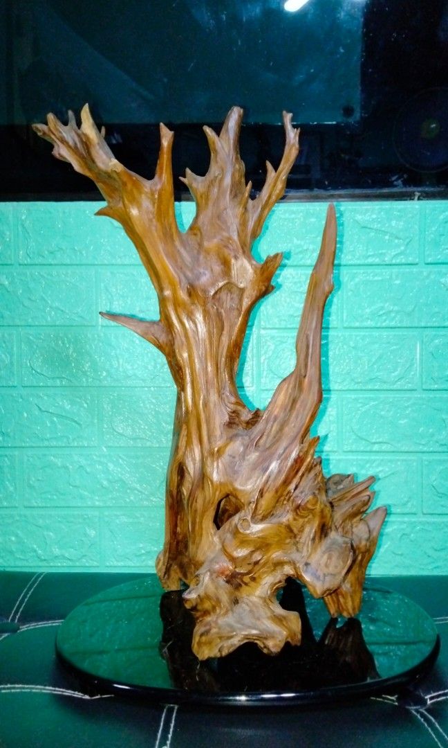 Drift wood w/stand, Furniture & Home Living, Home Decor, Other Home Decor on Carousell