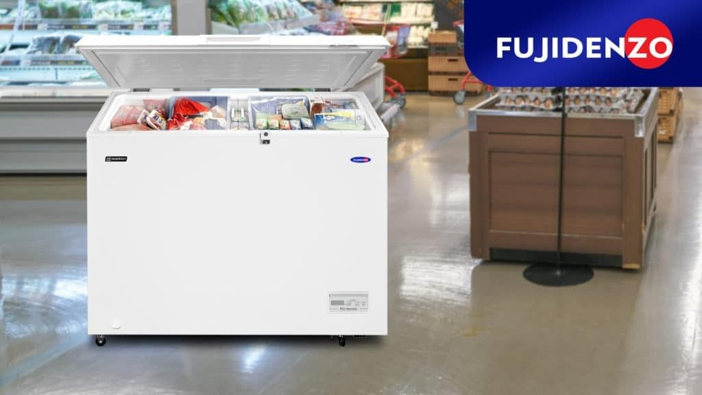 FUJIDENZO CHEST FREEZER (NON INVERTER /INVERTER TYPE), TV & Home ...