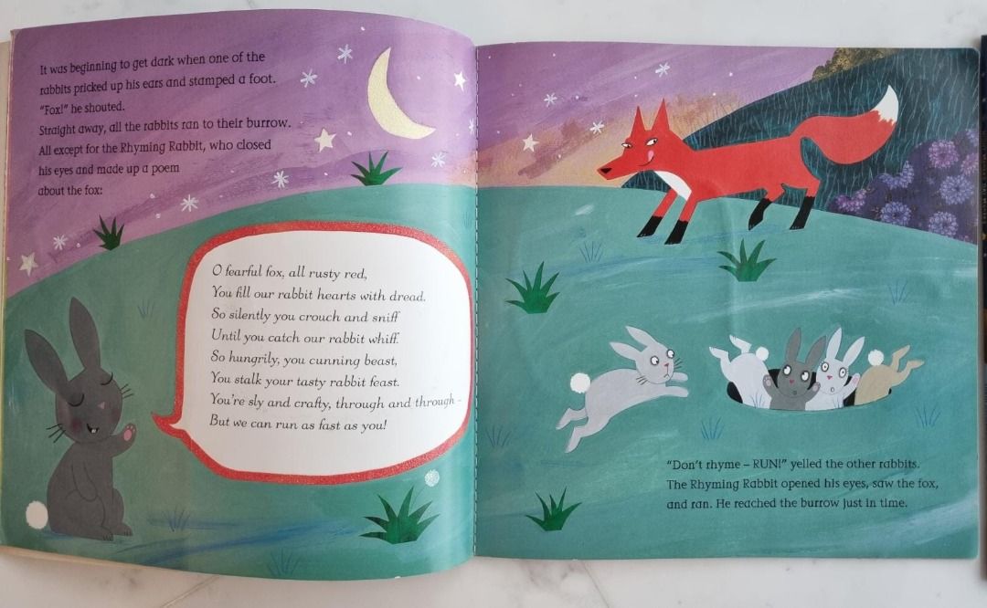 Julia Donaldson Bundle: The Rhyming Rabbit + Night Monkey, Day Monkey ...